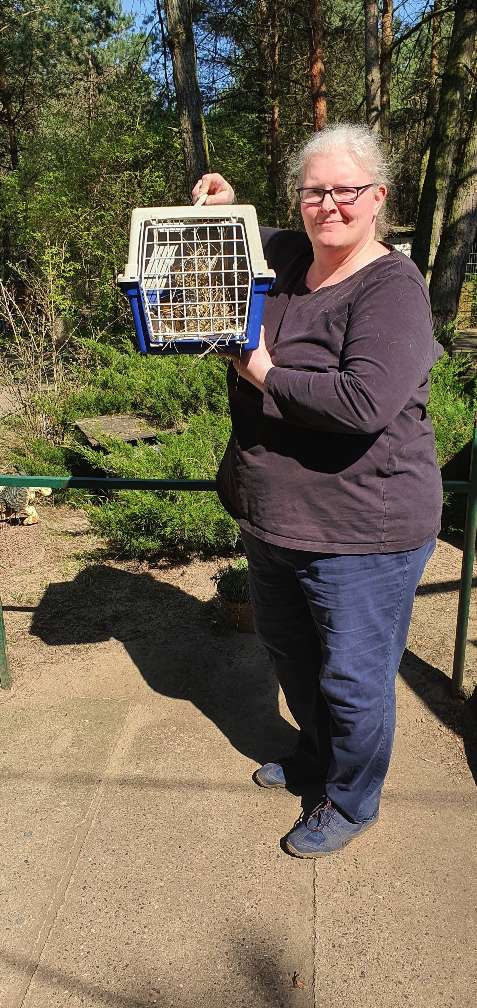 Tierheim Verlorenwasser – Frieda und Max